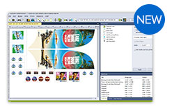 Roland Vinyl Cutter Software - brazilyellow